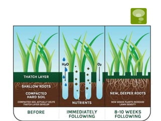Lawn Care 101, Basic Turfgrass Management Principles | PPTX