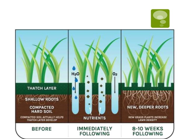Lawn Care 101, Basic Turfgrass Management Principles | PPT