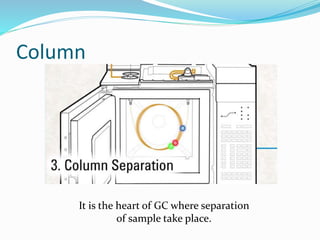 gas chromatography | PPTX