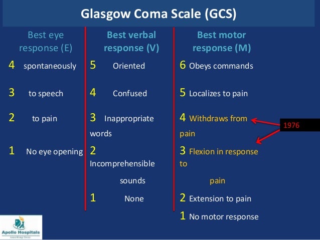 GCS - The fundamentals for nurses and nursing students