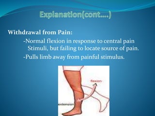 Gcs | PPTX | Death, Injury, or Military Conflict | Sensitive Topics