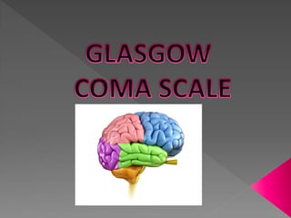 GCS Glasgow coma scale in neurological system | PDF