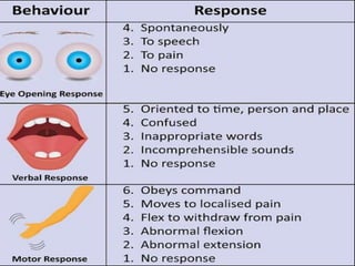 GCS Glasgow coma scale in neurological system | PDF