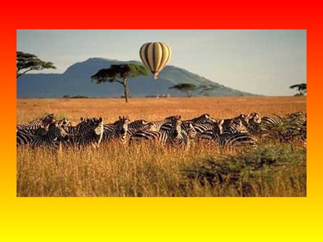 Africa - a land of contrasts | PPT