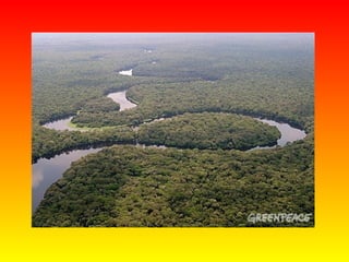 Africa - a land of contrasts | PPT