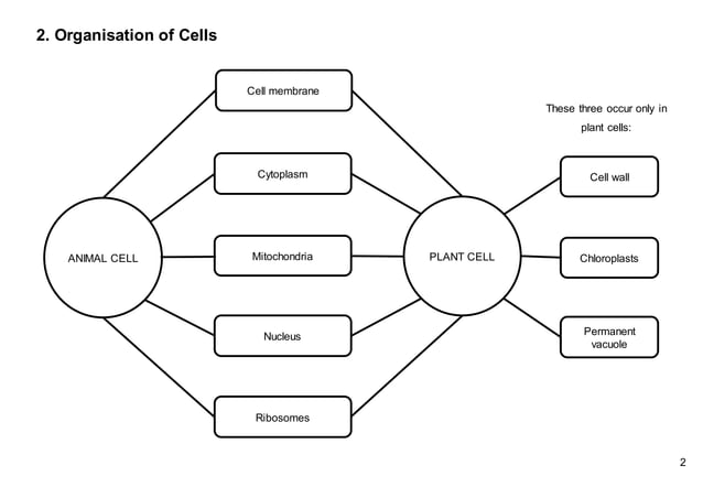 GCSE-Triple-Biology-2023.pdf