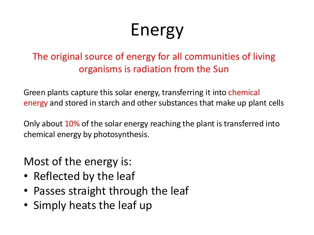 Aqa Gcse Biology Unit 2 Summary Presentation In Gcse Biology Get Www vrogue co aqa-gcse-biology-unit-2-summary-presentation-in-gcse-biology-get-www-vrogue-co