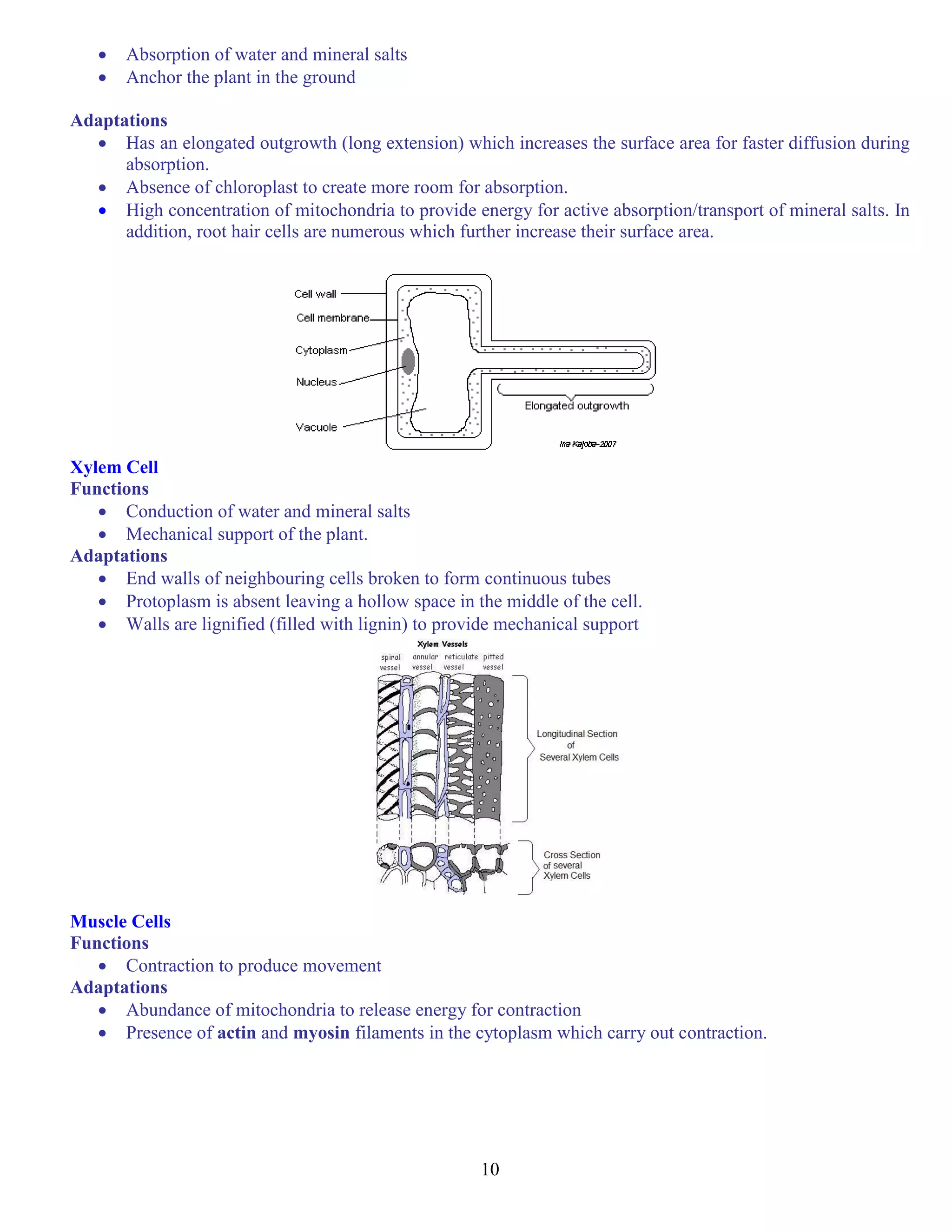 ZASE BIOLOGY TEXTBOOK GRADE 10-12 | PDF