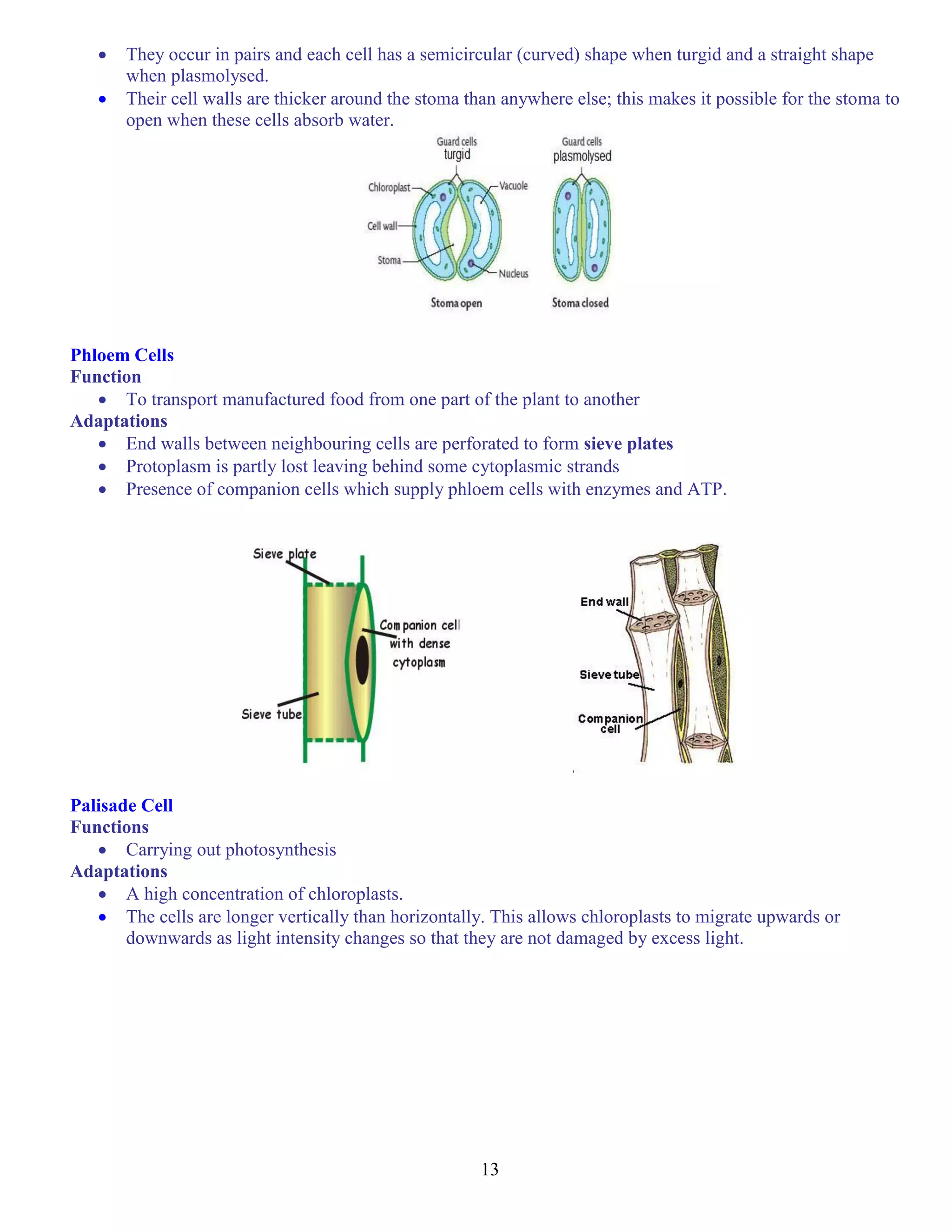 ZASE BIOLOGY TEXTBOOK GRADE 10-12 | PDF