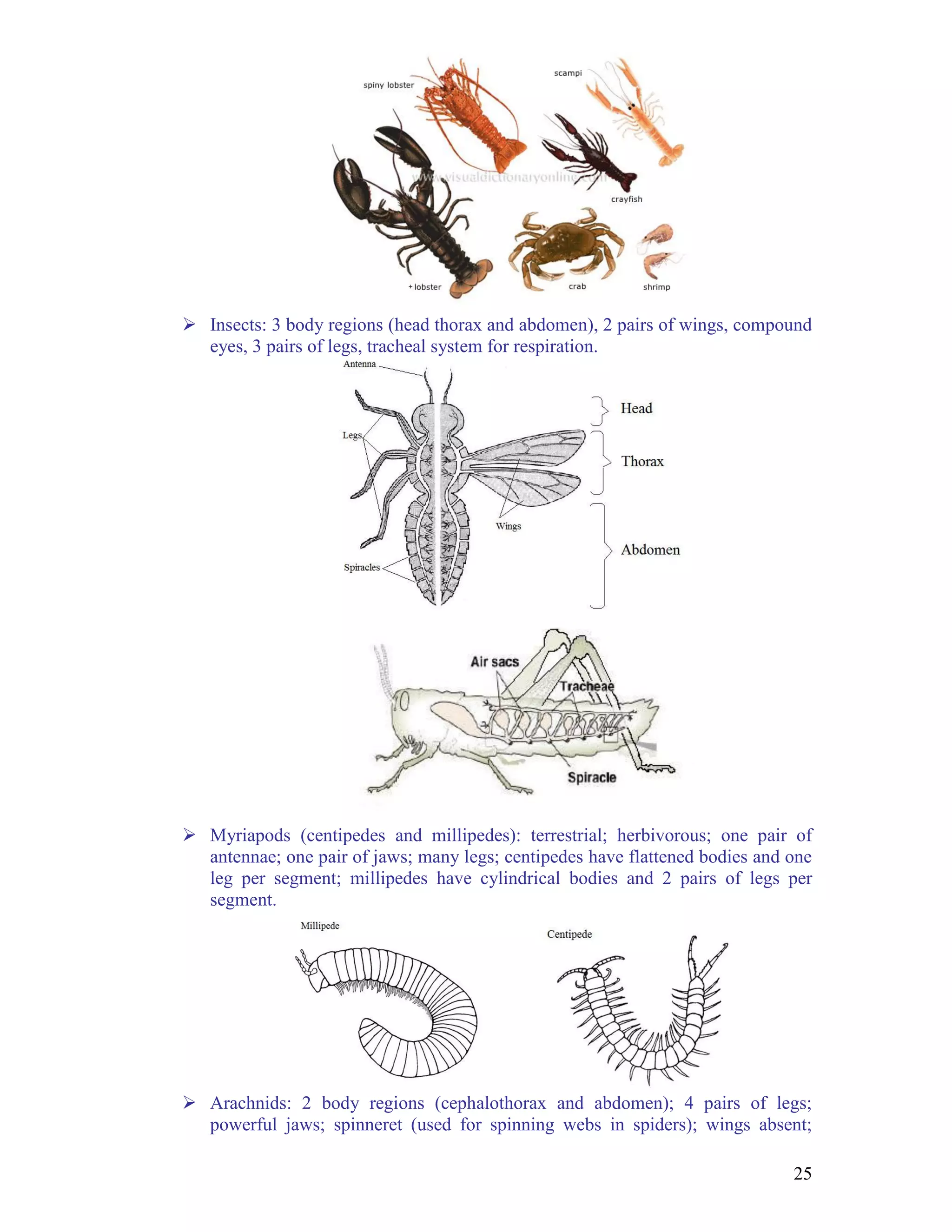 ZASE BIOLOGY TEXTBOOK GRADE 10-12 | PDF