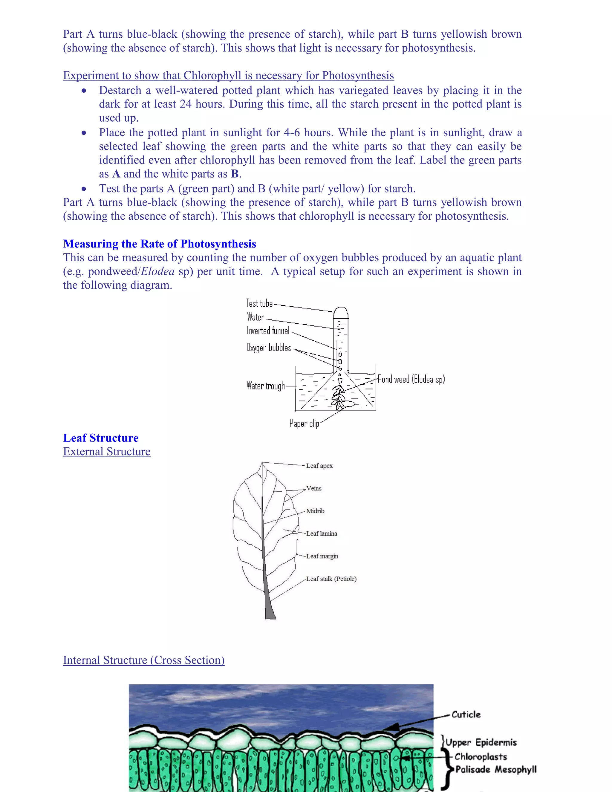 ZASE BIOLOGY TEXTBOOK GRADE 10-12 | PDF