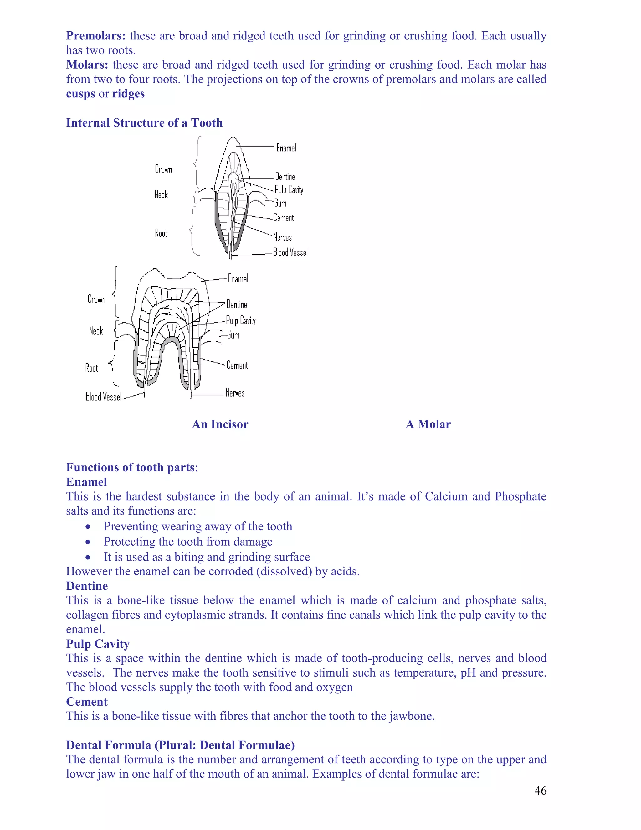 ZASE BIOLOGY TEXTBOOK GRADE 10-12 | PDF
