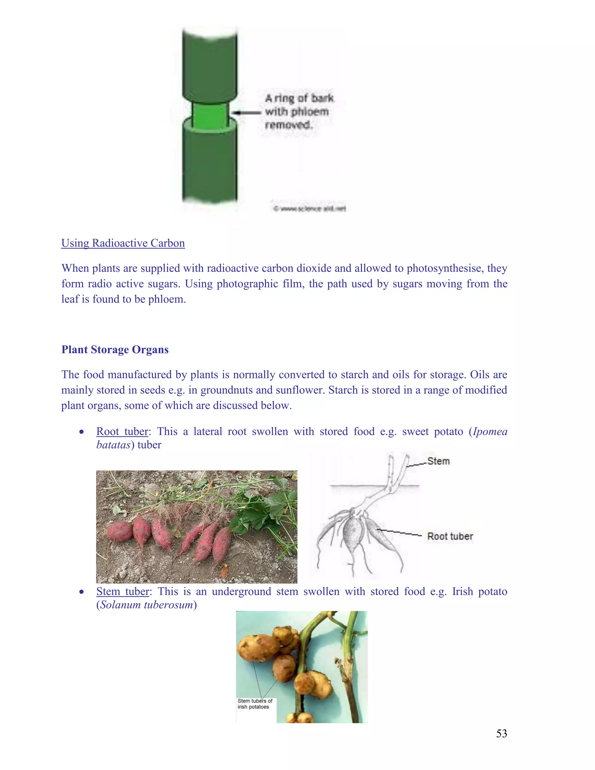 ZASE BIOLOGY TEXTBOOK GRADE 10-12 | PDF