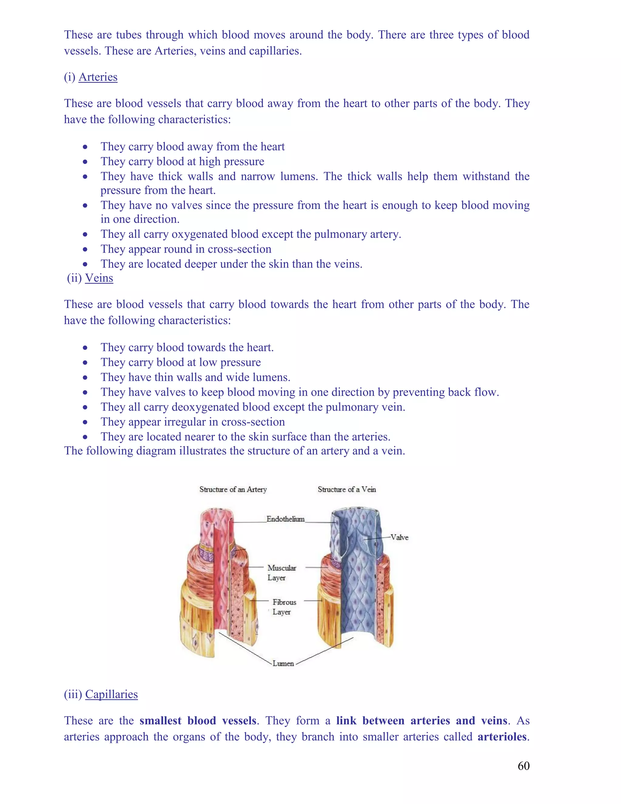 ZASE BIOLOGY TEXTBOOK GRADE 10-12 | PDF