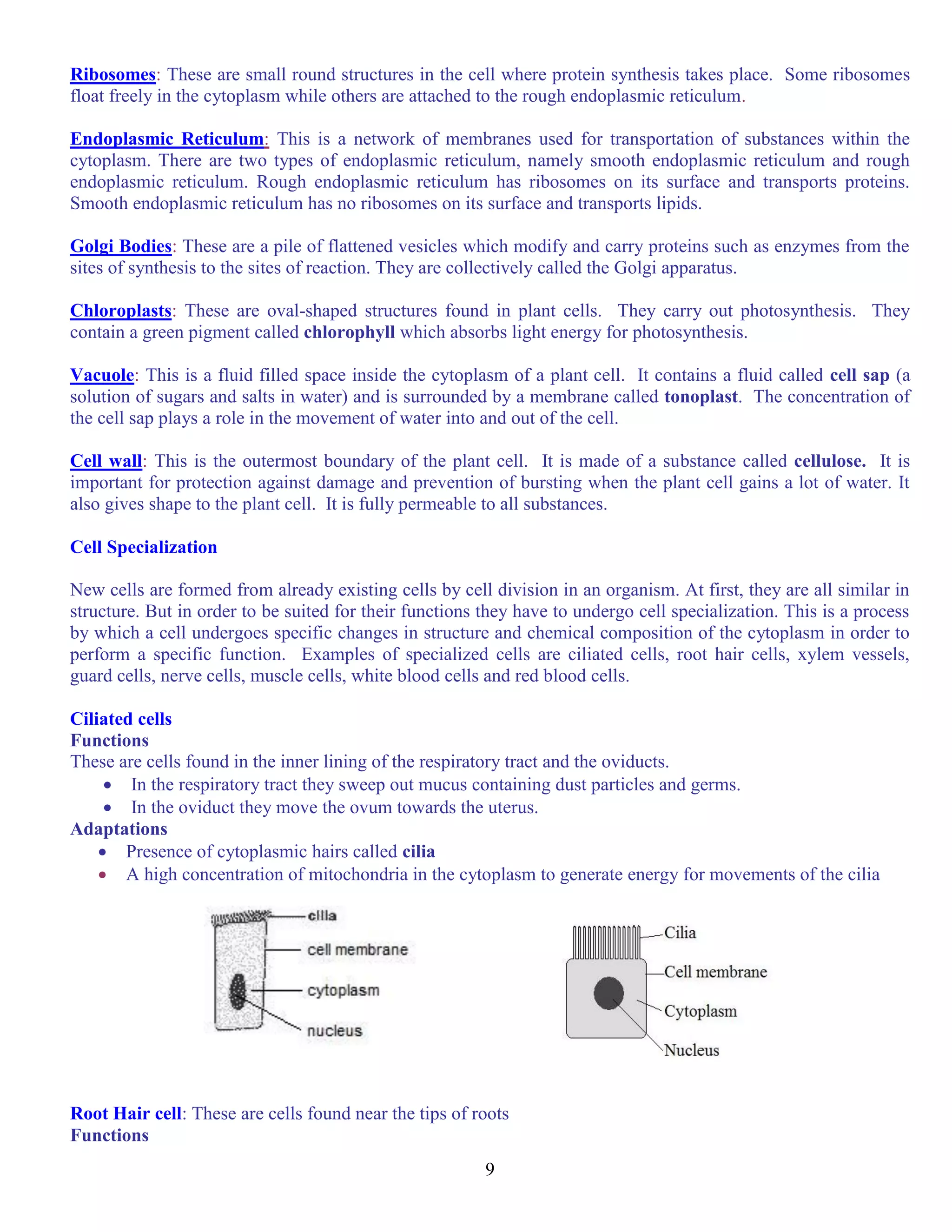 ZASE BIOLOGY TEXTBOOK GRADE 10-12 | PDF