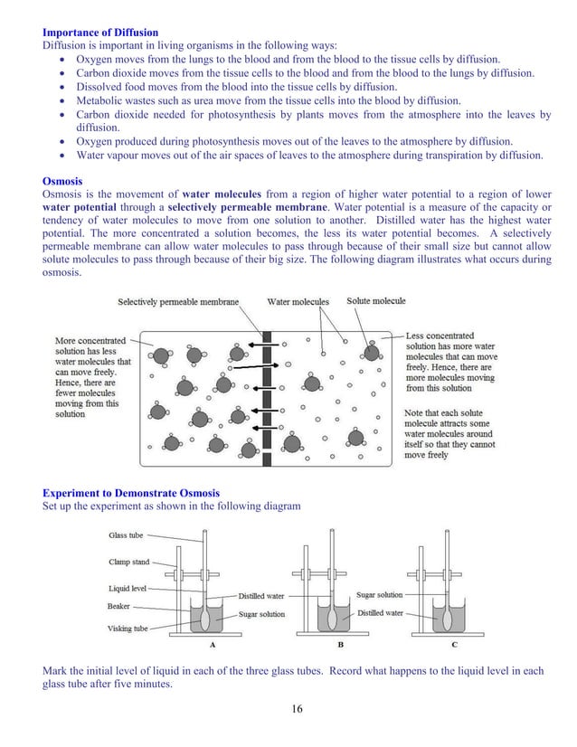 ZASE BIOLOGY TEXTBOOK GRADE 10-12 | PDF