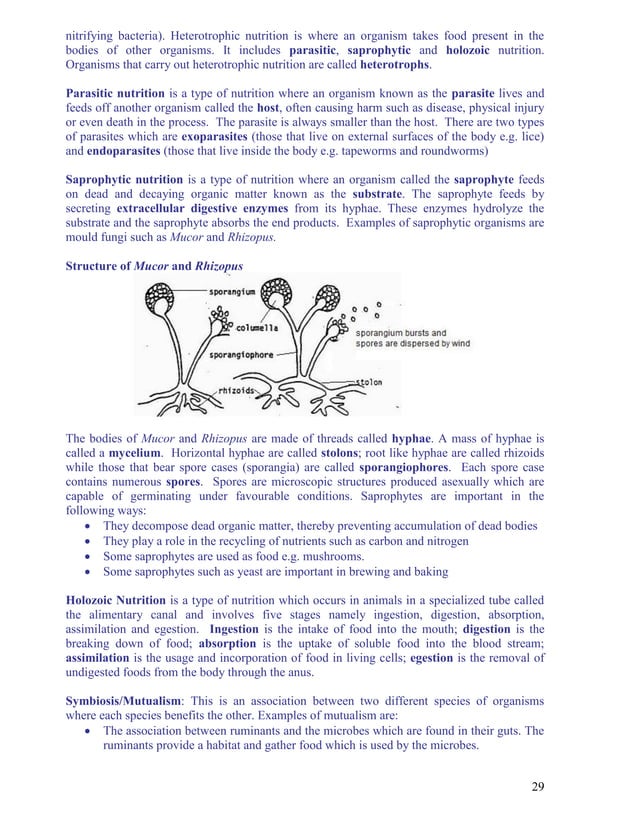ZASE BIOLOGY TEXTBOOK GRADE 10-12 | PDF