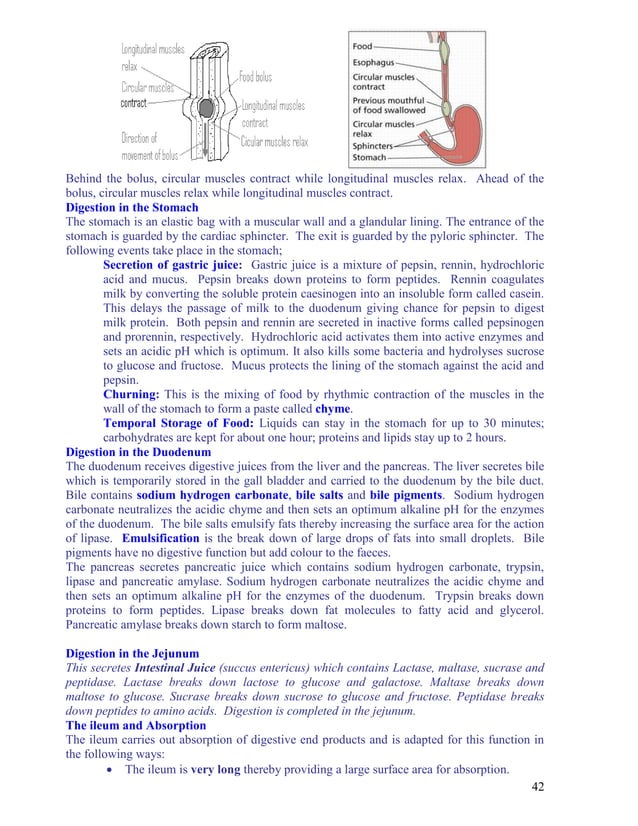ZASE BIOLOGY TEXTBOOK GRADE 10-12 | PDF