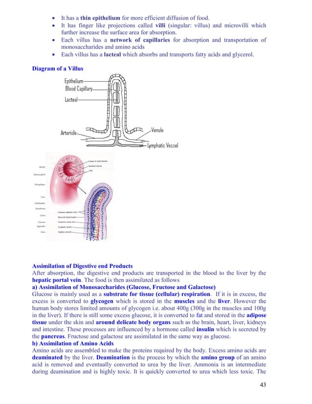 ZASE BIOLOGY TEXTBOOK GRADE 10-12 | PDF