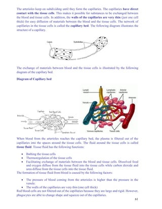 ZASE BIOLOGY TEXTBOOK GRADE 10-12 | PDF