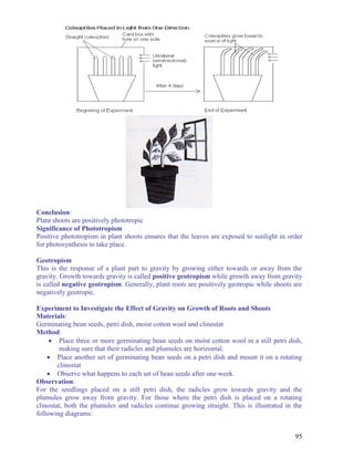 ZASE BIOLOGY TEXTBOOK GRADE 10-12 | PDF