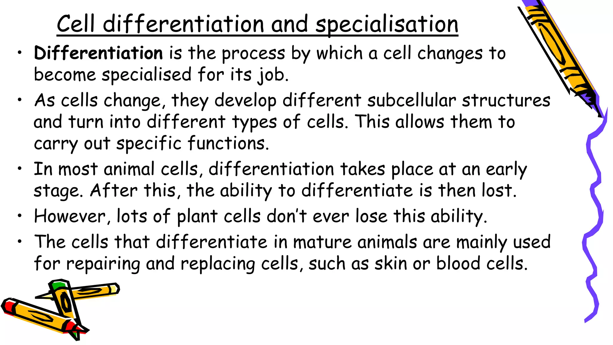 Gcse biology 9 - 1 | PPTX