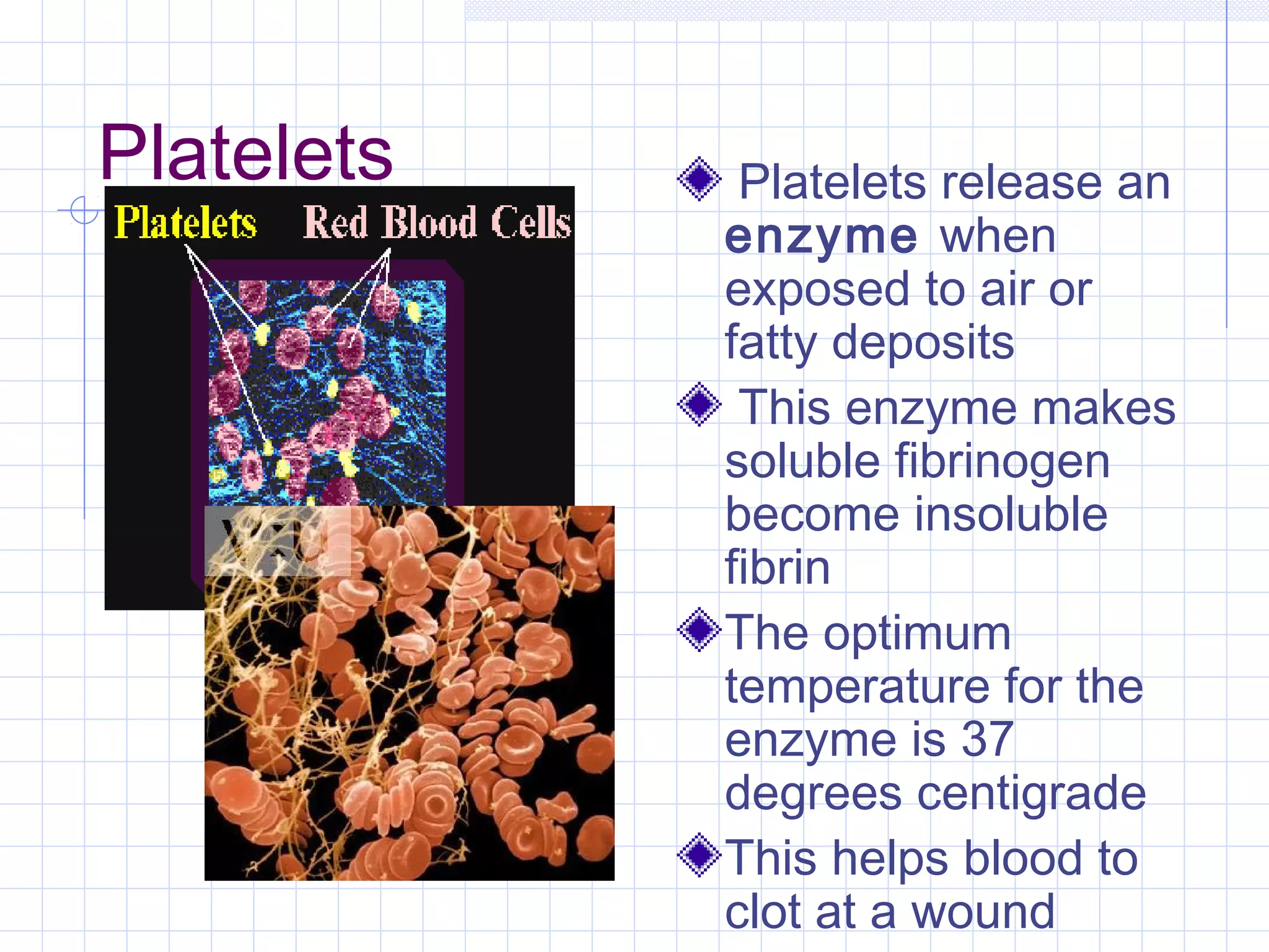 Gcse blood composition | PPT