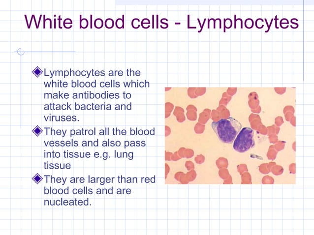 Gcse blood composition | PPT