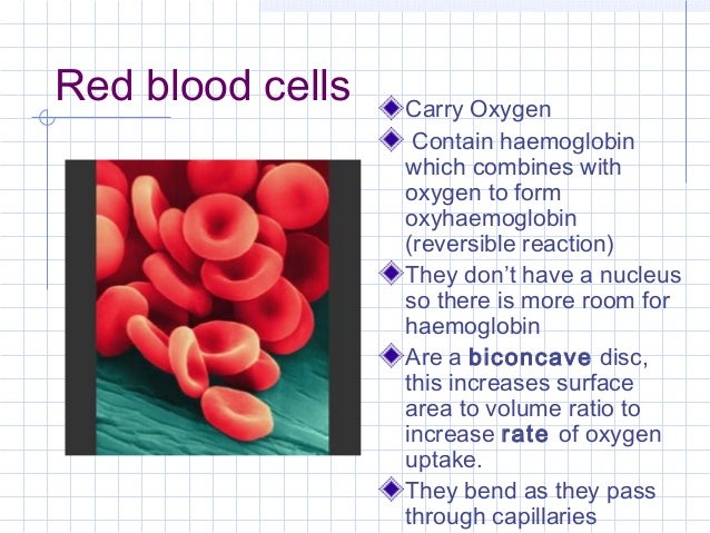 gcse-blood-composition