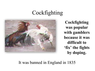 Gcse football coursework | PPT