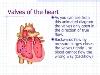 Gcse heart | PPT