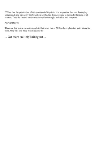 Gcse History Essay Plan | PDF