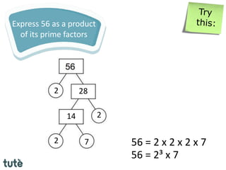Prime Factorization Of 56