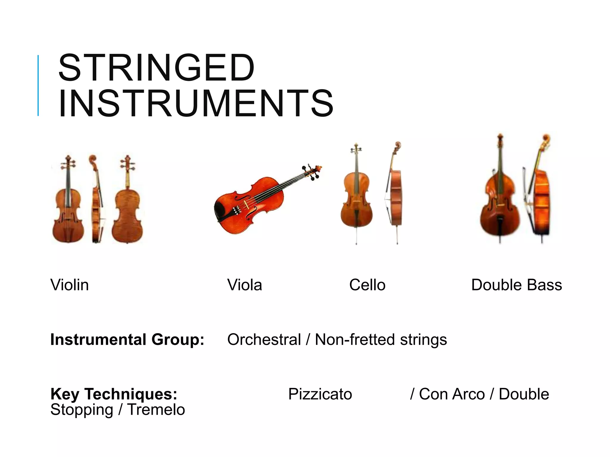 Timbre & Dynamics - Lesson 1 | PPTX