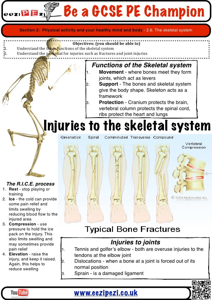 Three Diet Related Conditions Or Disorders Of The Skeletal System Three Diet Related Conditions Or Disorders Of The Skeletal System