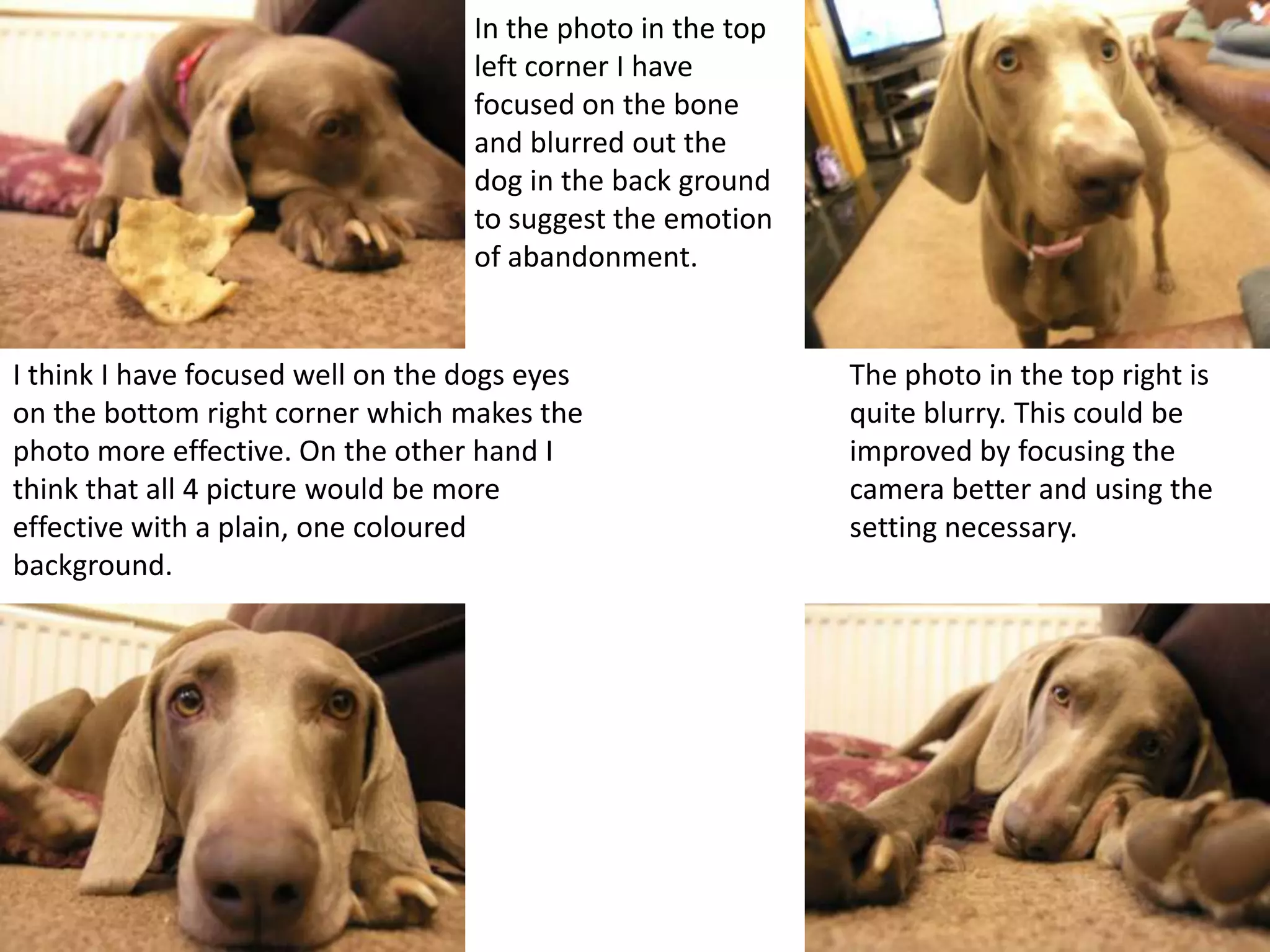 Gcse photography | PPTX