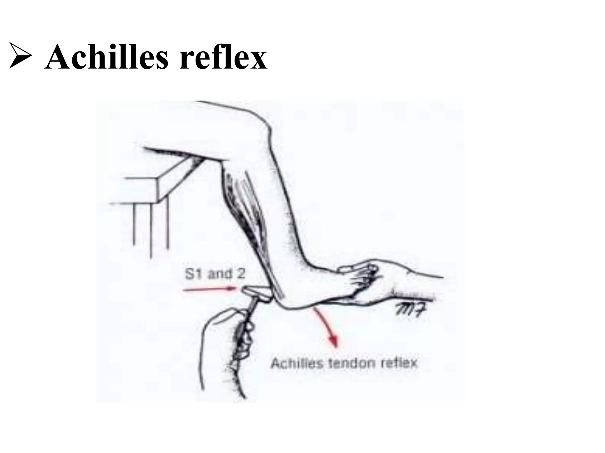 GLASSGOW COMA SCALE & REFLEXES | PPTX