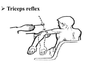 GLASSGOW COMA SCALE & REFLEXES | PPTX