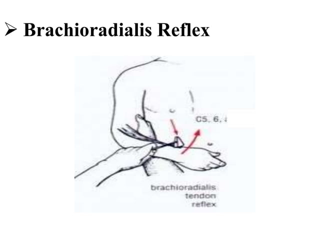 GLASSGOW COMA SCALE & REFLEXES | PPTX