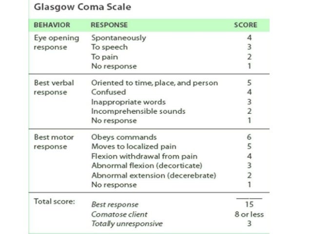 GLASSGOW COMA SCALE & REFLEXES