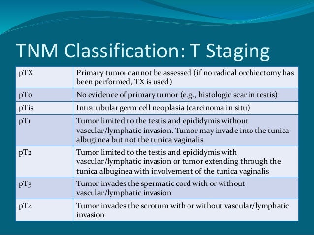 Germ cell tumors
