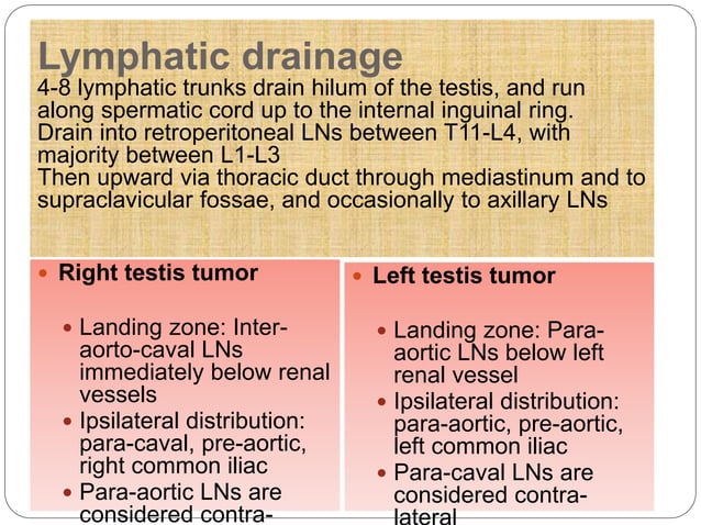 GCT in Males by Dr. Musaib Mushtaq.ppt