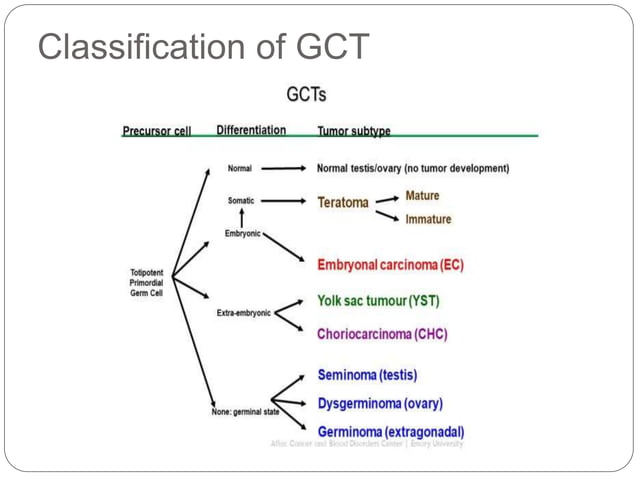 GCT in Males by Dr. Musaib Mushtaq.ppt