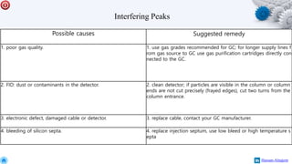 Gc troubleshooting | PPSX