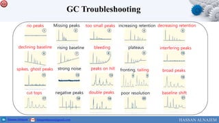 Gc troubleshooting | PPT