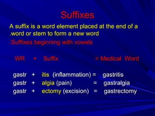 Med term week 1 | PPT