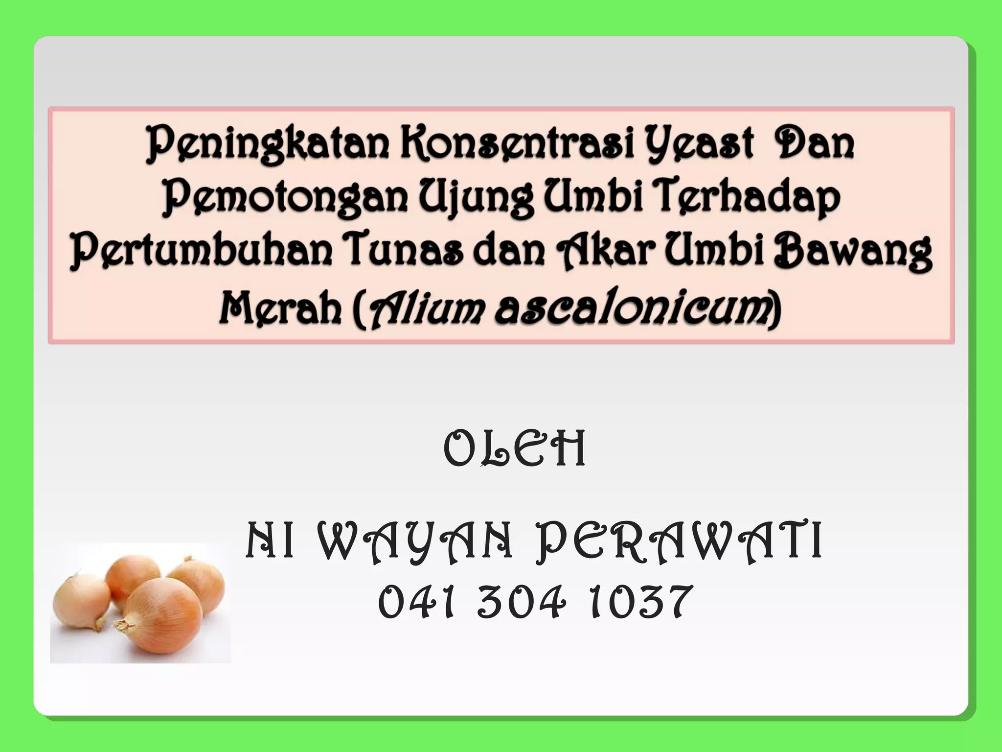 Pera- pengaruh peningkatan konsentrasi yeast dan pemotongan ujung ...
