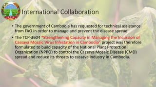 Inception meeting - Cambodia | PPT