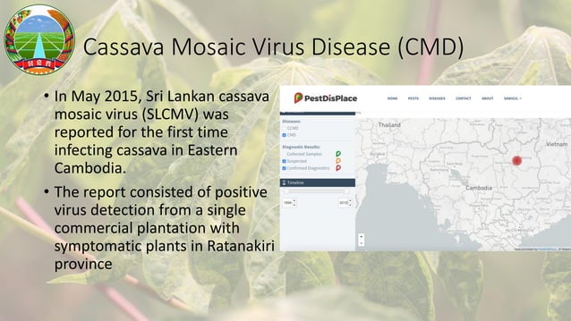 Inception meeting - Cambodia | PPT