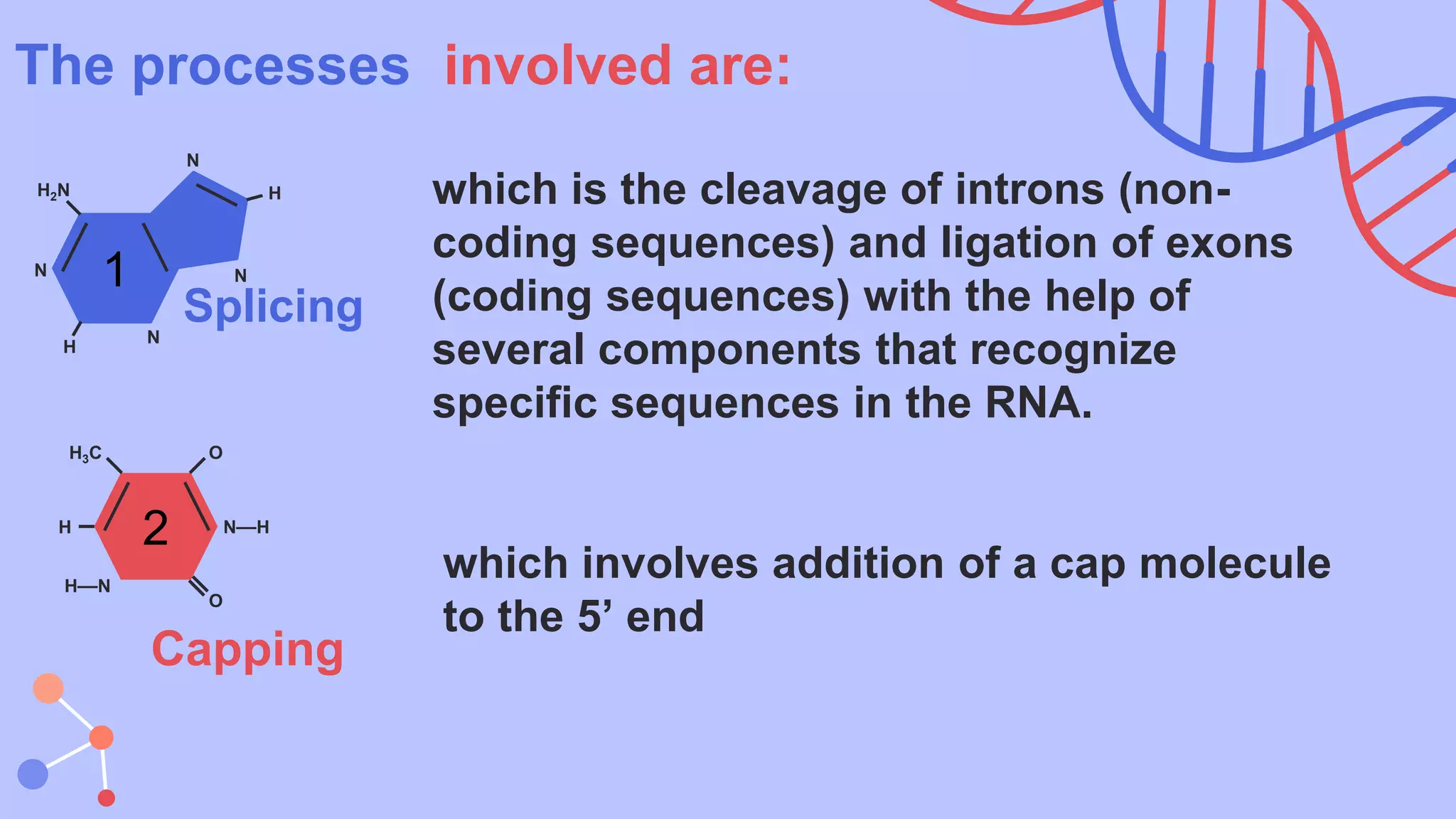 Regulation Of Gene Expression | PPTX